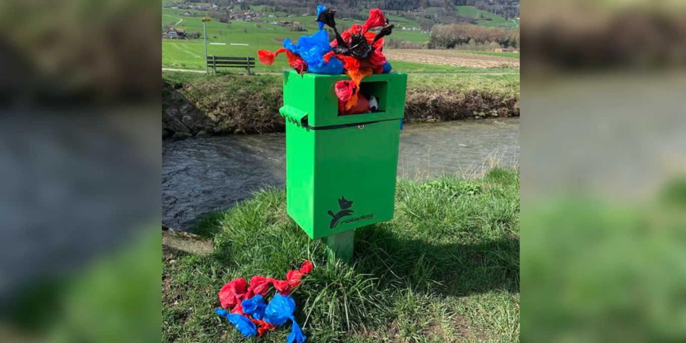 Robidog an Berner Gürbe quellt über – Hündeler hässig | Nau.ch