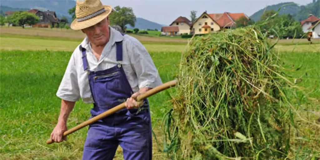 St. Gallen: Wochenarbeitszeit in der Landwirtschaft knapp 50 Stunden