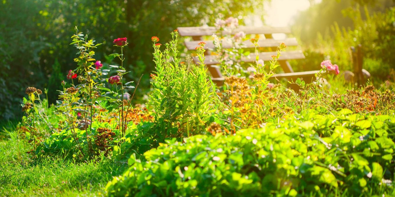 So bereiten Sie Ihren Garten jetzt schon auf den Sommer vor | Nau.ch