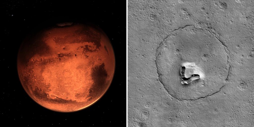 Ein Bär auf dem Mars: Nasa entdeckt sonderbaren Krater