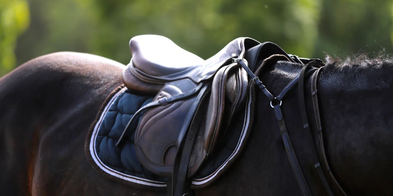 Reiten ohne Rückenschmerzen: Wie Sie Ihr Pferd gesund trainieren | Nau ...