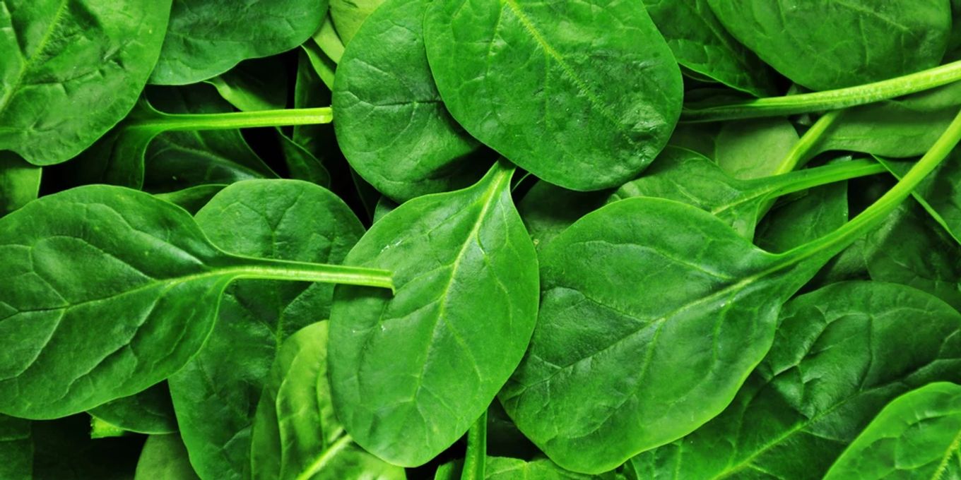 5 Gründe, warum Sie Spinat lieben sollten | Nau Food