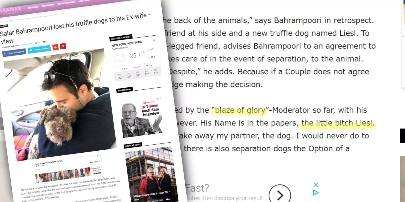 Auch Luca Hänni und Salar sind Opfer der Fake News-Site | Nau.ch