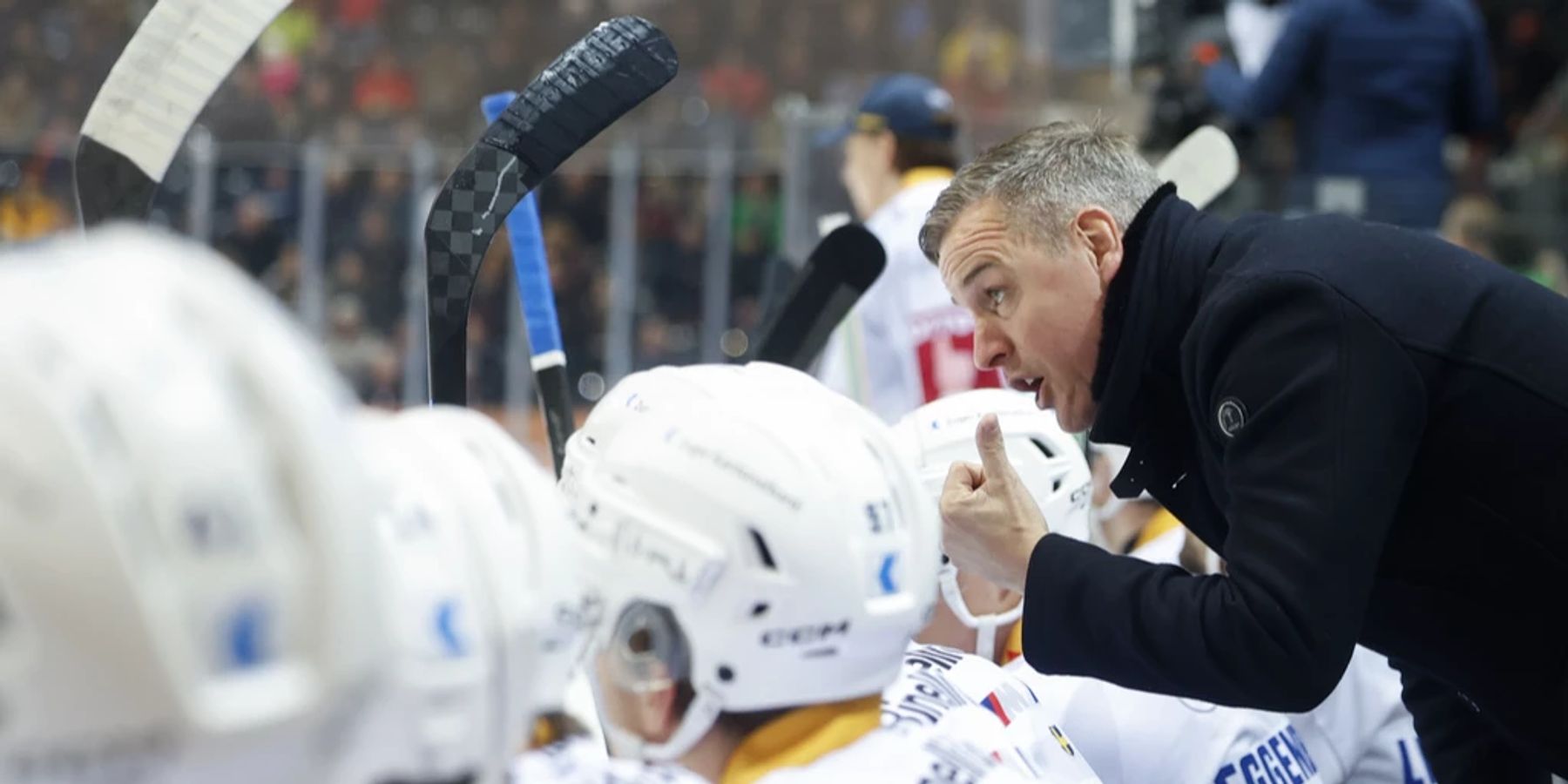 EV Zug: Trainer Dan Tangnes verlässt den Club Ende Saison | Nau.ch