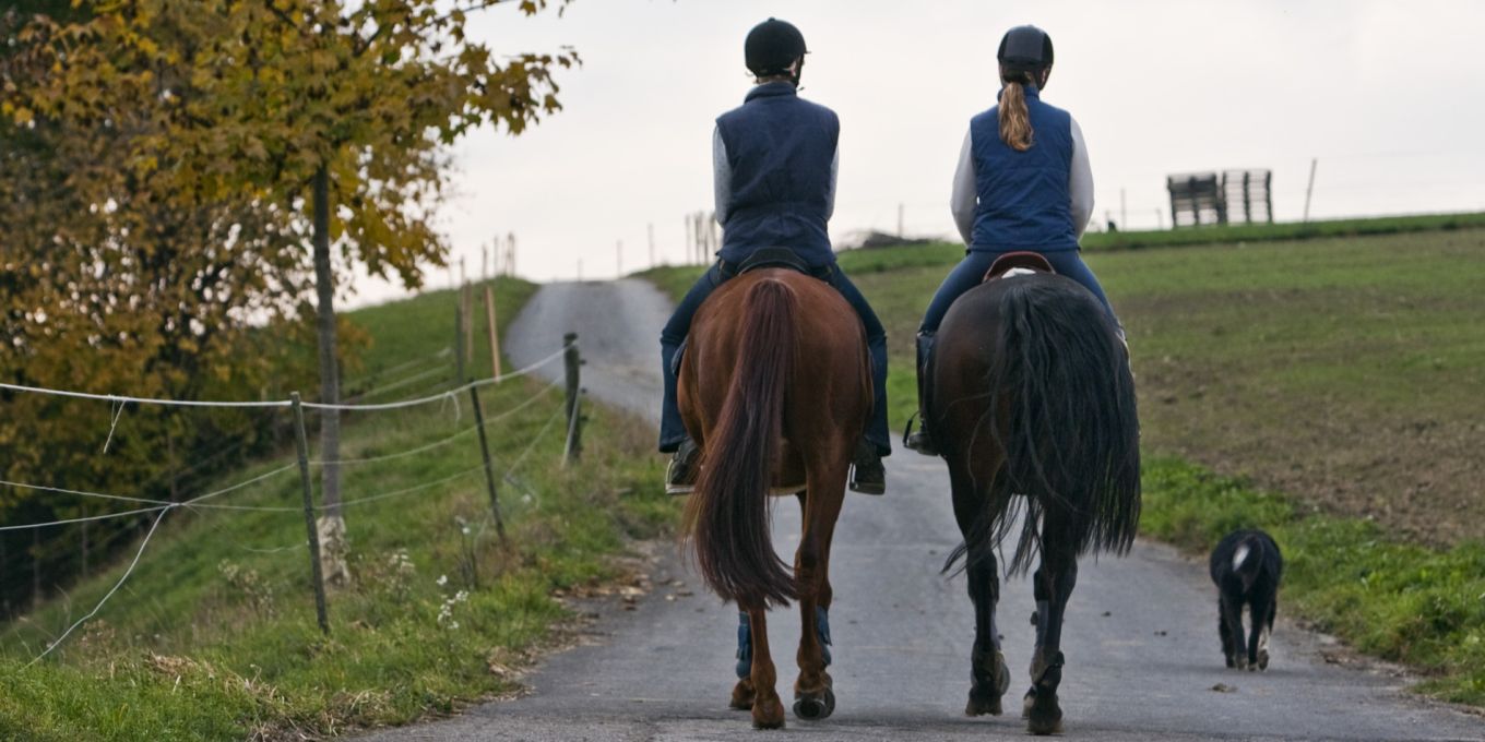 Pferd reisst Reiterin (†22) bei Flucht mit – tot | Nau.ch