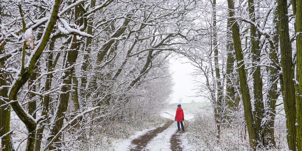Milde Temperaturen beeinträchtigen Loipen und Skiwanderwege