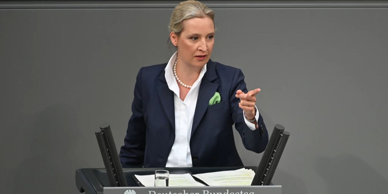 Alice Weidel bietet Merz eine Koalition an – als Juniorpartner | Nau.ch