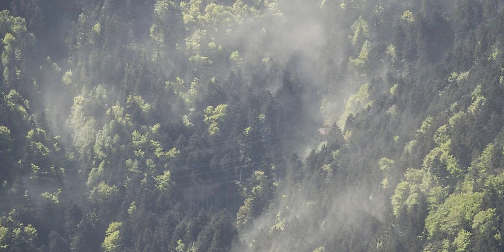 Temperaturen steigen mit Föhn in einzelnen Alpentälern über 20 Grad