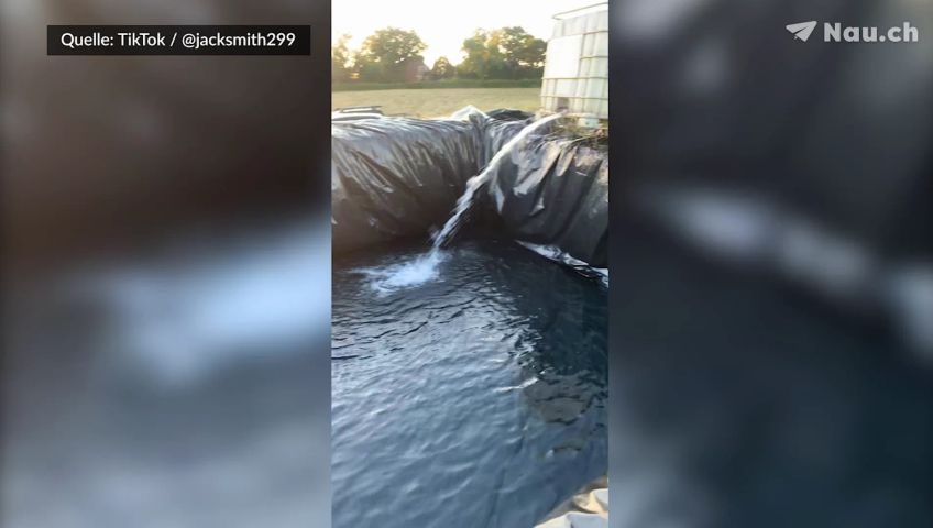 13 schwitzende Bauern bauen Pool aus Heuballen
