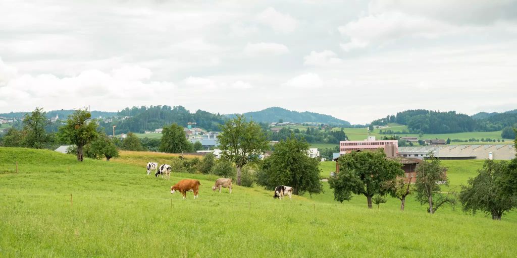 Jonschwil ist für die Aufnahme von Schutzsuchenden bereit