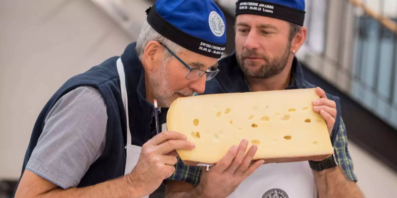 Gruyère d'alpage AOP aus St. George VD ist der beste Schweizer Käse ...