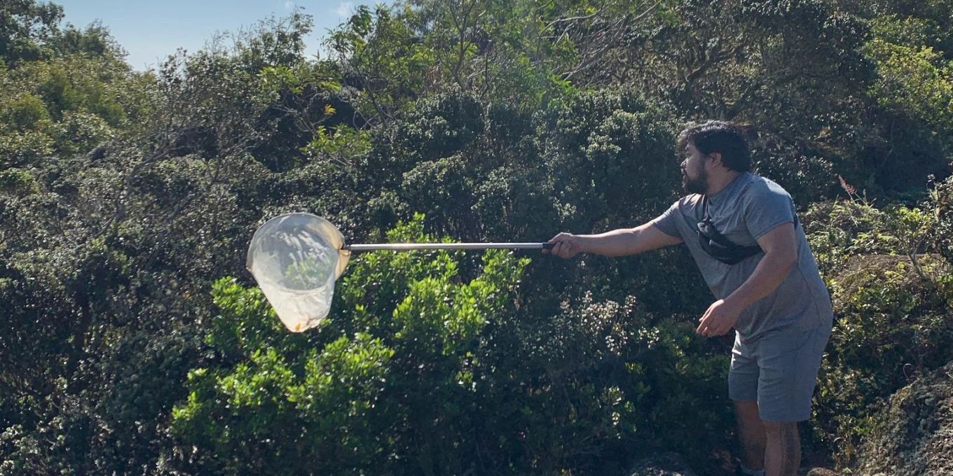 Knochensammler-Raupe trägt Überreste ihrer Beute als Tarnung | Nau.ch