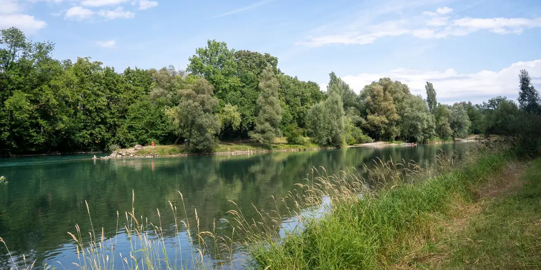 Stadtplaner: «Die Werdinsel ist unverzichtbar für ein diverses Zürich ...
