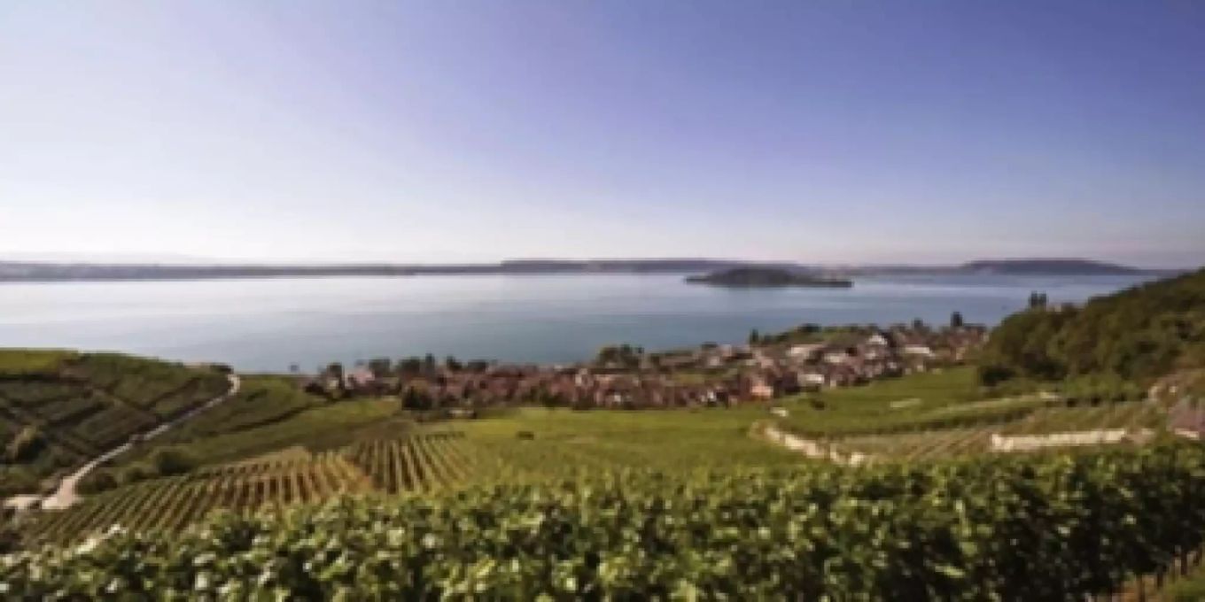 Sperrung der Dorfgasse in Twann | Nau.ch