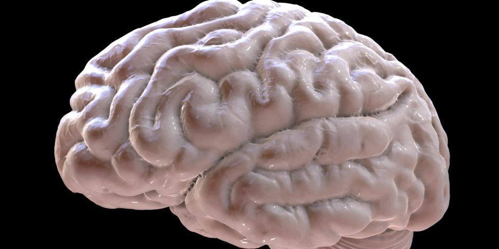 Das Tessin bereitet sich auf das West-Nil-Virus vor | Nau.ch