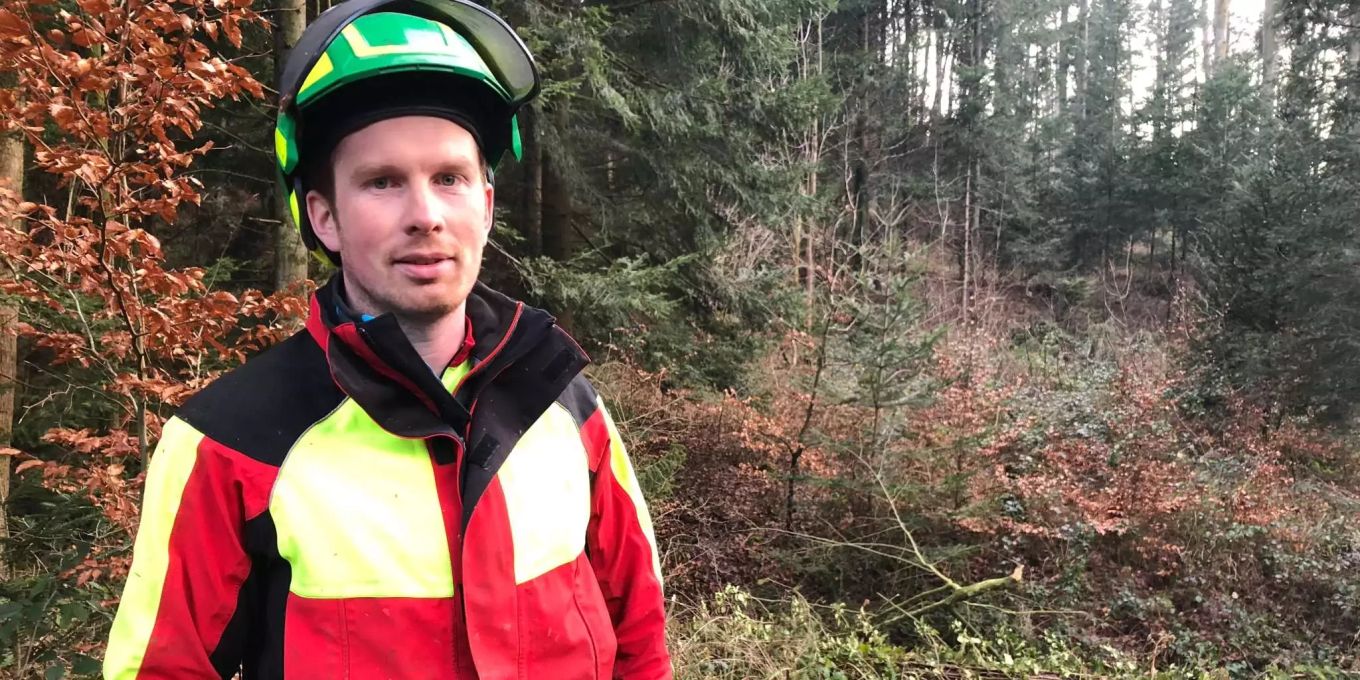 «Aufräumarbeiten in Basler Wäldern dauern noch zwei bis drei Wochen ...