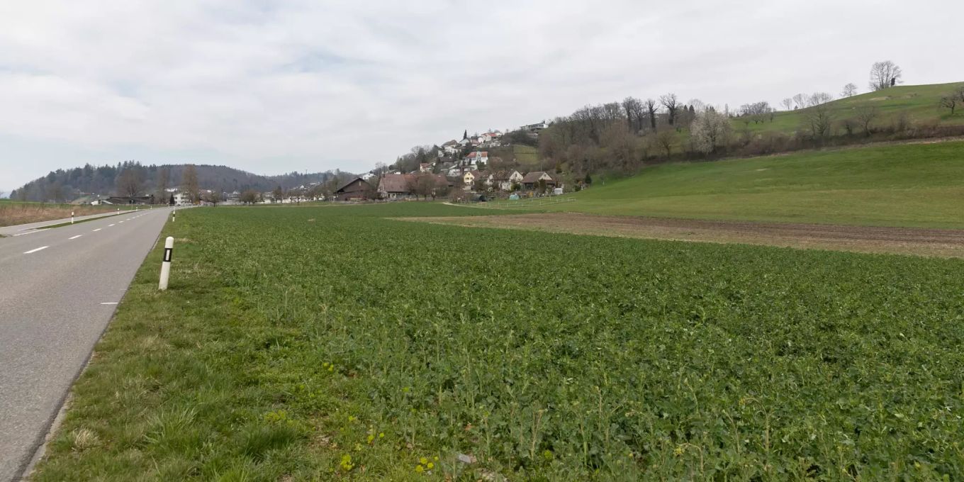 Seengen: Der «Donnschtig-Jass» tourt 2023 durchs Seetal | Nau.ch