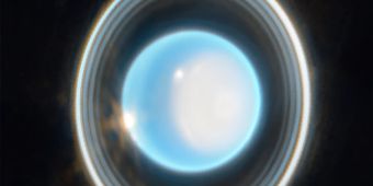 James-Webb-Weltraumteleskop schiesst spektakuläre Uranus-Fotos | Nau.ch