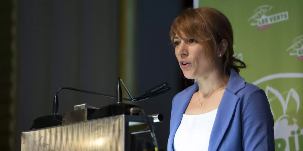 Grüne fordert Verteuerung von klimaschädigenden Investitionen