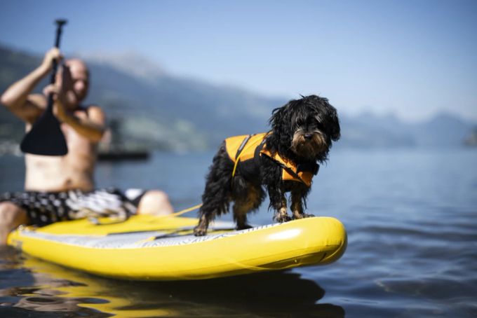 Das hat der weltweite Hitze-Rekord zu bedeuten | Nau.ch