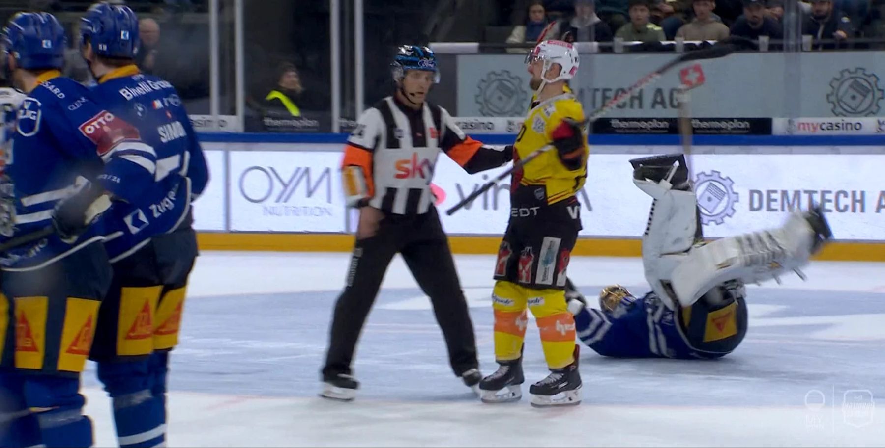 EV Zug: Schwalben-Ärger um Goalie Genoni – SCB-Scherwey muss raus | Nau.ch