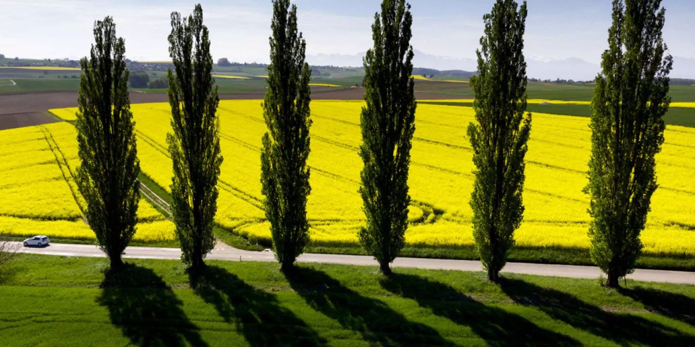 Fred Gerber tritt Ende Jahr zurück | Nau.ch