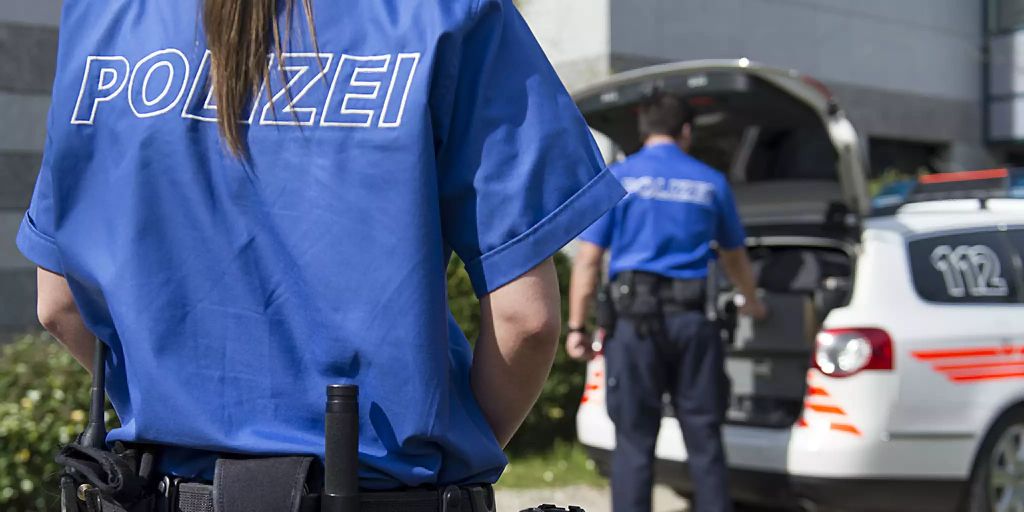 Polizei verhaftet zwei Einbrecher nach Diebstahl in Allschwil BL
