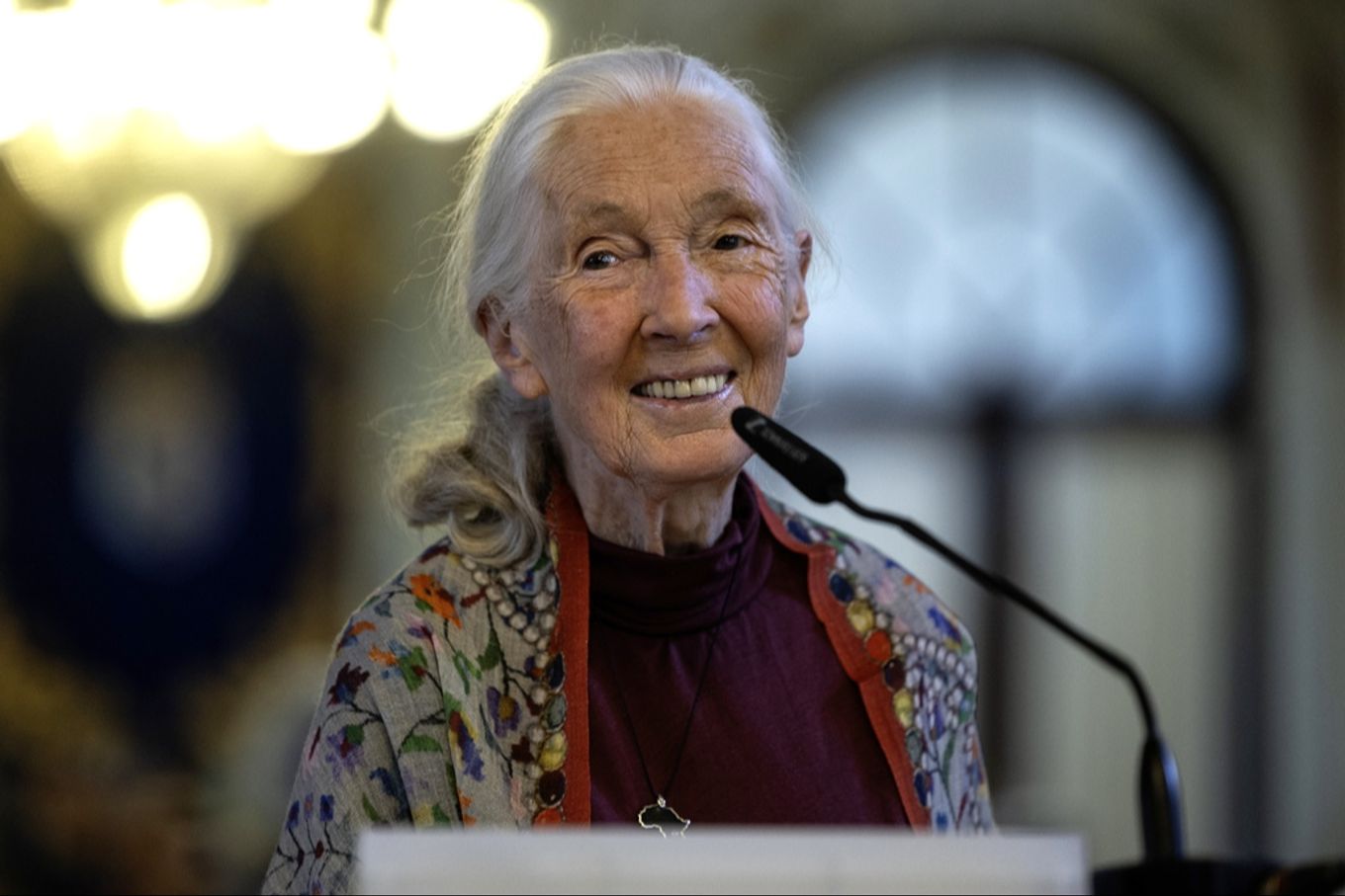 Jane Goodall (†91): Eine Frau verändert den Blick auf die Welt | Nau.ch