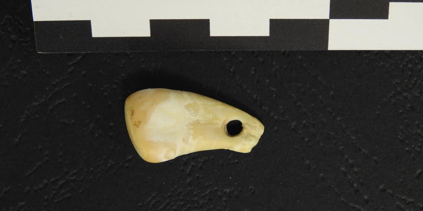 Erbgut einer Frau von uraltem Anhänger gewonnen | Nau.ch