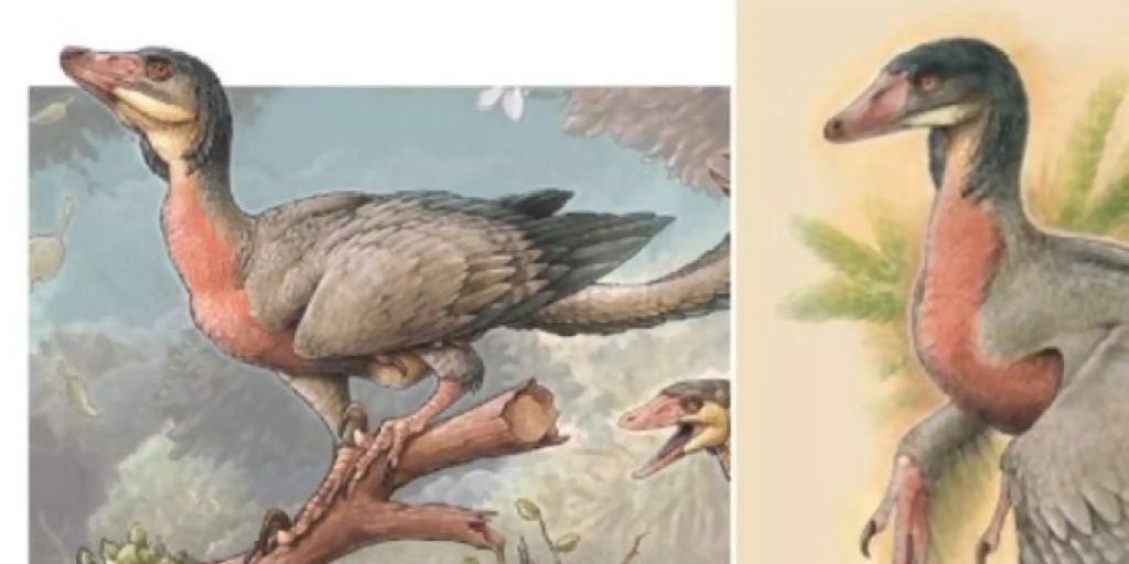 Fleischfressende Dinosaurierart in Argentinien entdeckt