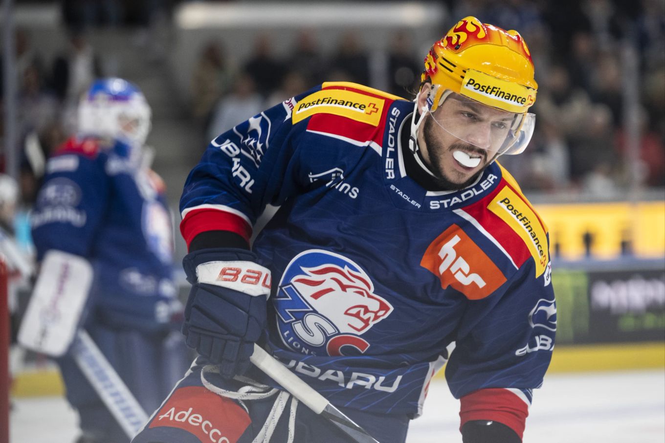 ZSC Lions: Andrighetto – ein Star aus «altem Schrot und Korn» | Nau.ch