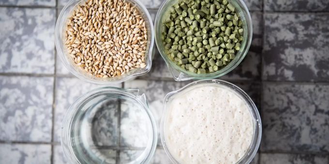 Todesfälle Hefepilz Candida Auris: Ausbreitung der Pilzinfektionen | Nau.ch