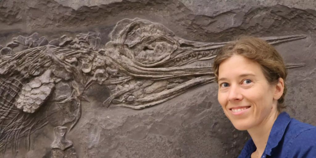 Neue Fischsaurier-Art aus dem Schwäbischen Jurameer