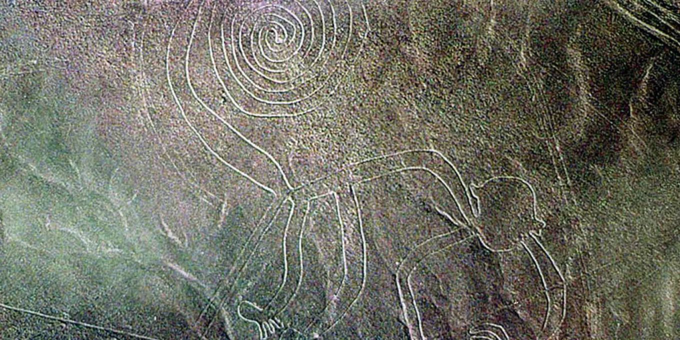 Google-Doodle ehrt Erforscherin der Nazca-Linien | Nau.ch