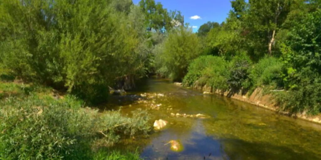 Unterkulm: Renaturierung der Wyna