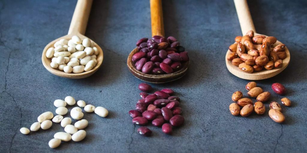 Diese 5 Bohnensorten müssen Sie kennen