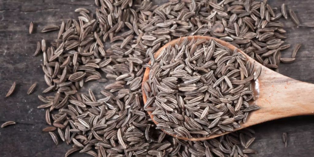 Kümmel – ein Gewürz mit positiven Nebenwirkungen