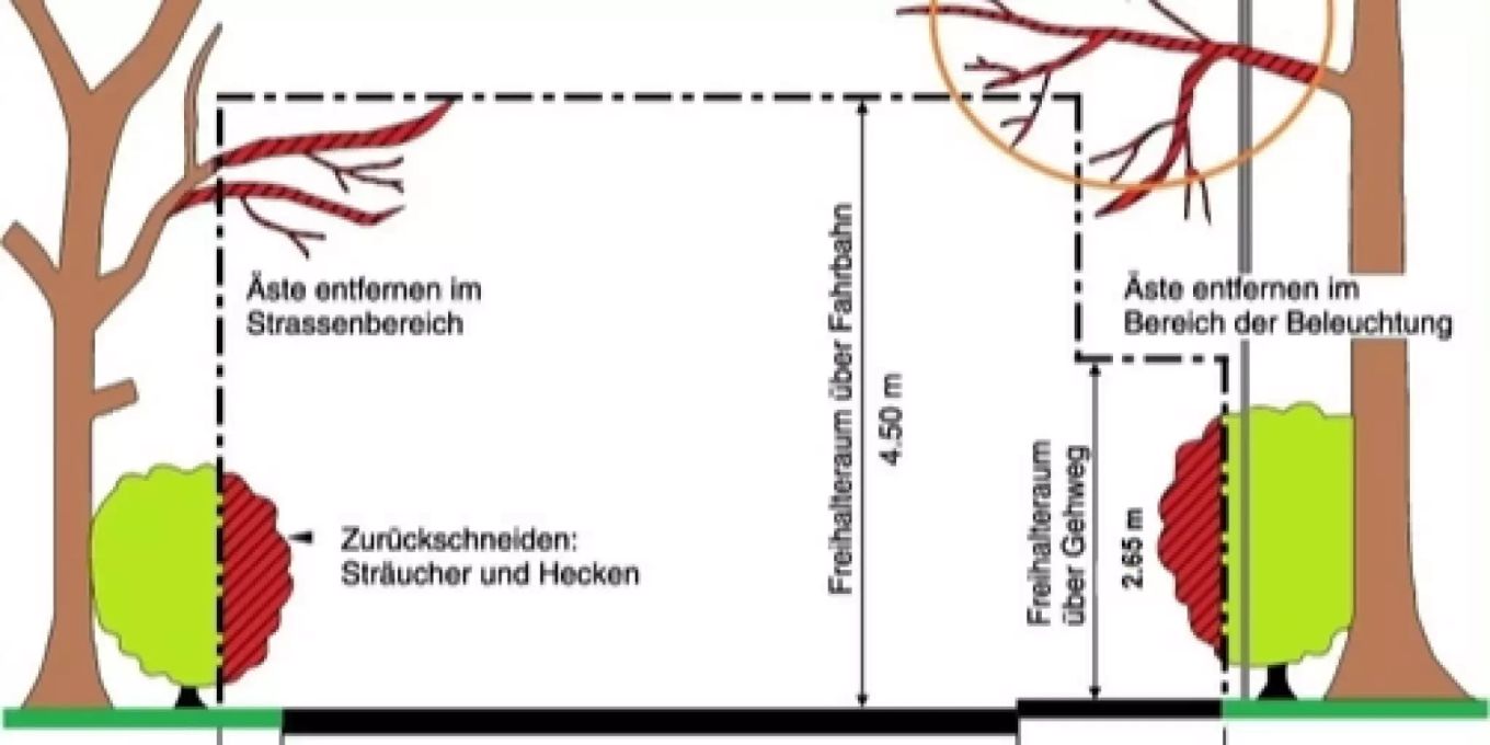 Hittnau: Bäume, Sträucher und Grünhecken zurückschneiden | Nau.ch Hittnau: Bäume, Sträucher und Grünhecken zurückschneiden | Nau.ch