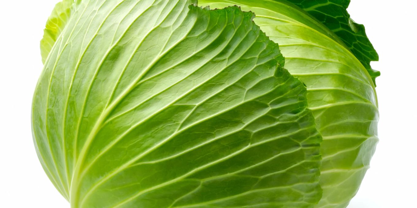 Was Sie beim Kochen mit Kohl beachten müssen | Nau Food