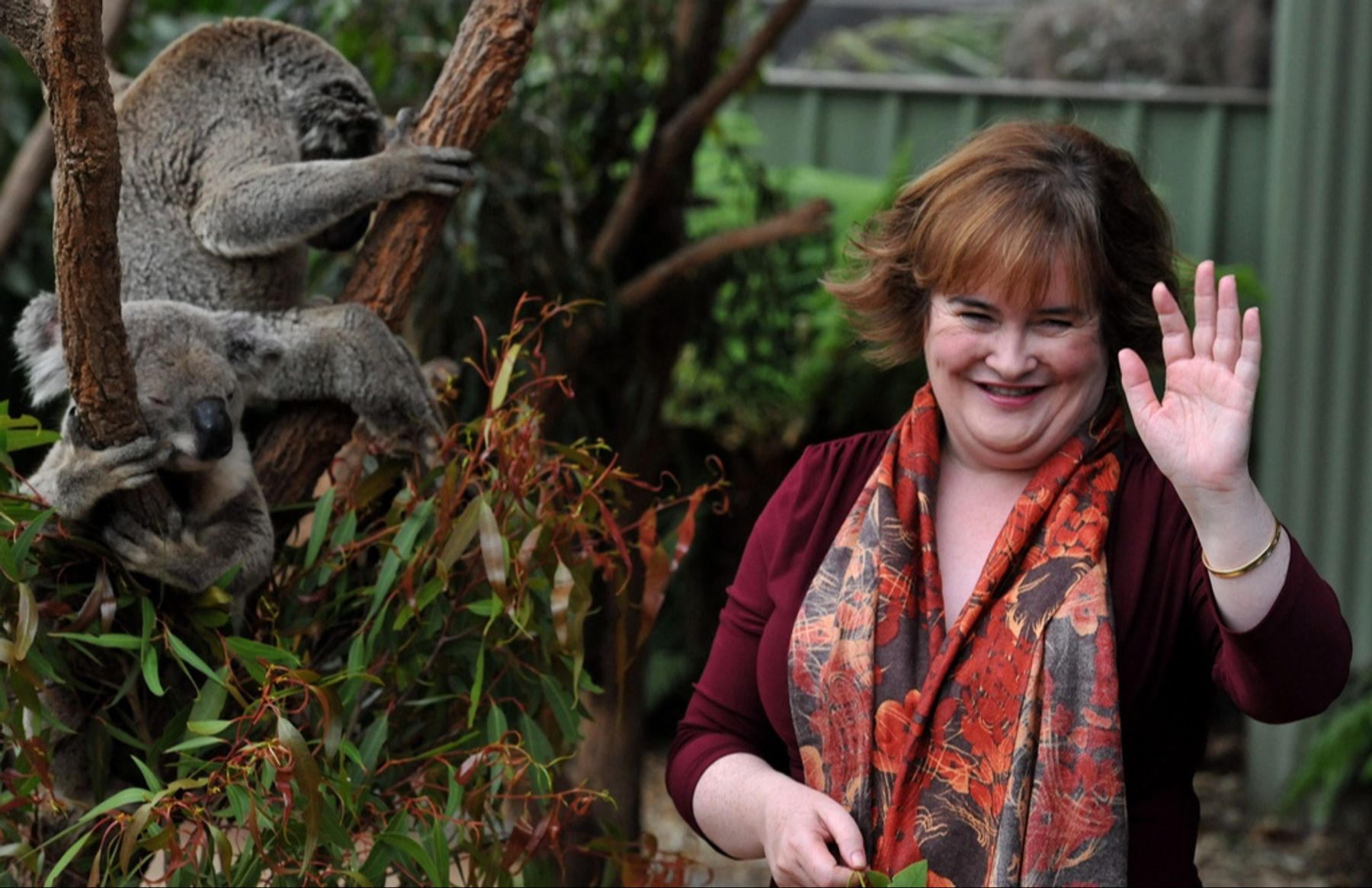 So sieht Sängerin Susan Boyle nicht mehr aus | Nau.ch
