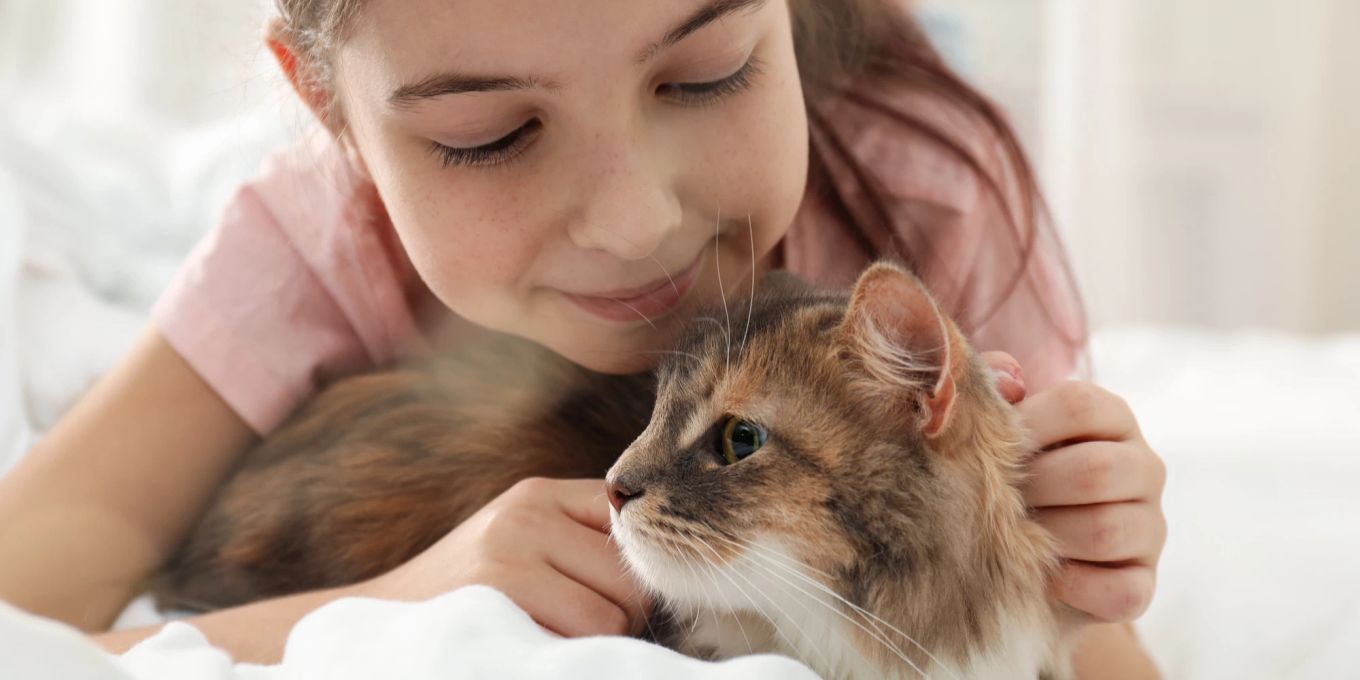 Erinnern sich Katzen wirklich an Menschen? | Nau Tiere