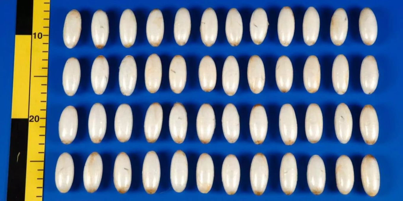 Bodypacker schluckte über ein Kilogramm Kokain | Nau.ch