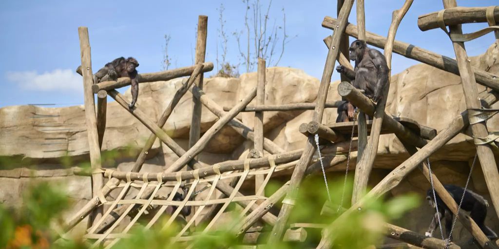 Stadt Gossau plant Zoo-Erweiterung