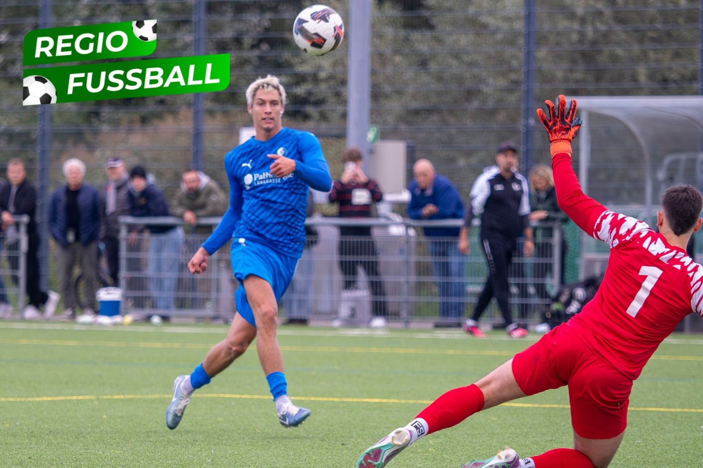 Zryd (SP) zu E-ID: «Sichere, transparente und schweizerische Lösung» | Nau.ch