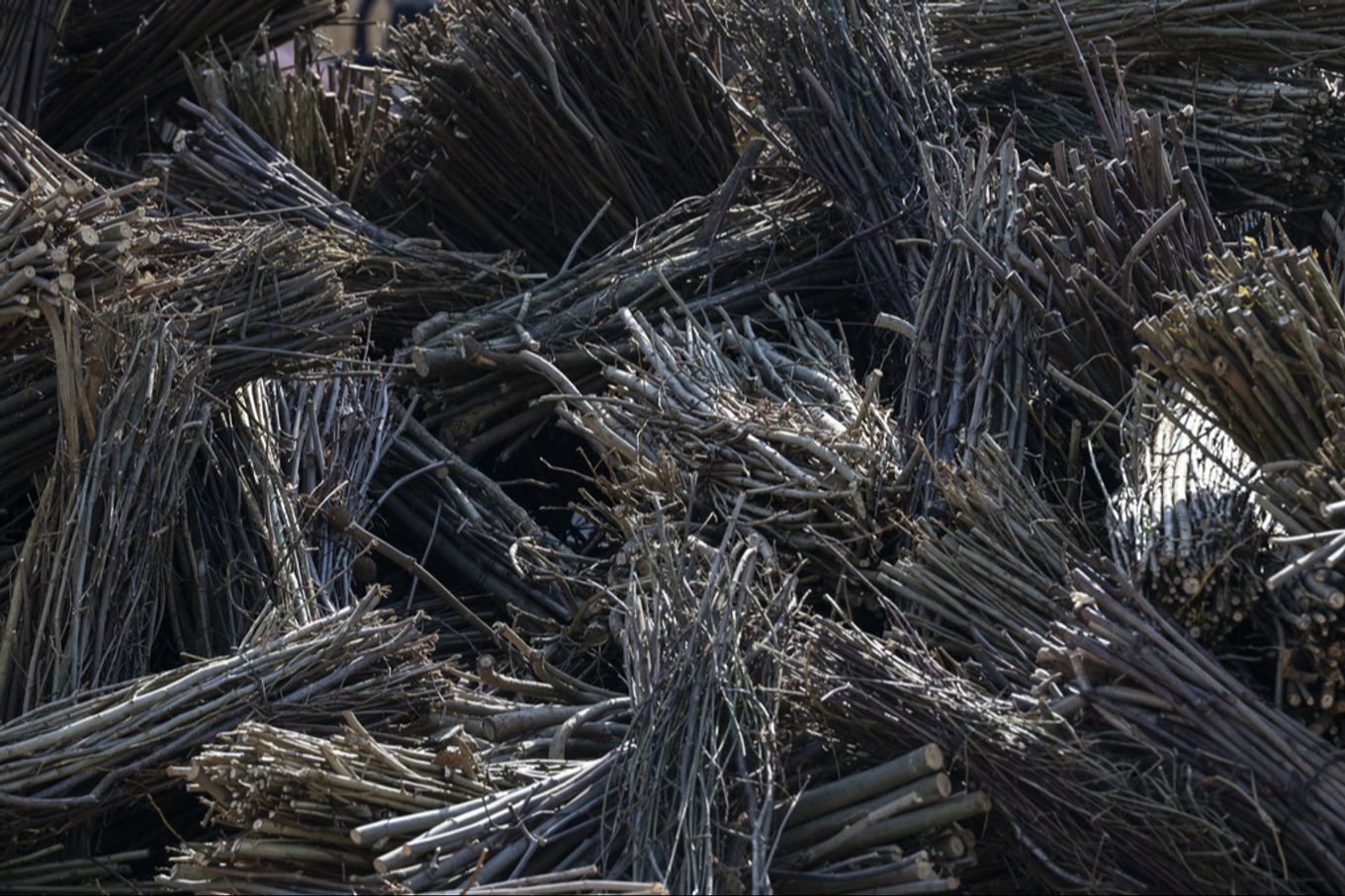 Sechseläuten: Böögg explodiert nach 26 Minuten und 30 Sekunden | Nau.ch