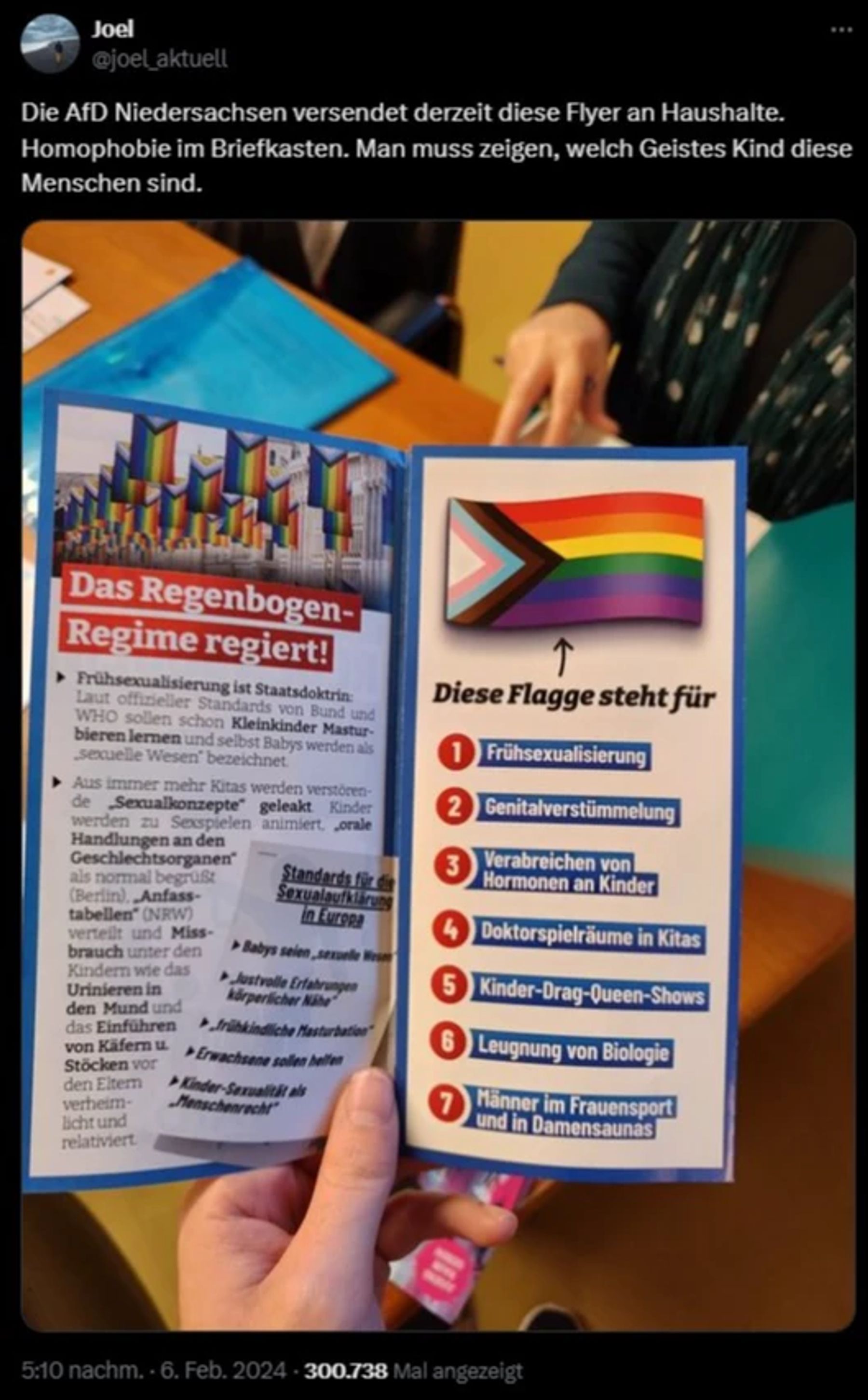 AfD-Chefin Alice Weidel: Öffentliche Liebeserklärung an Ehefrau Sarah ...