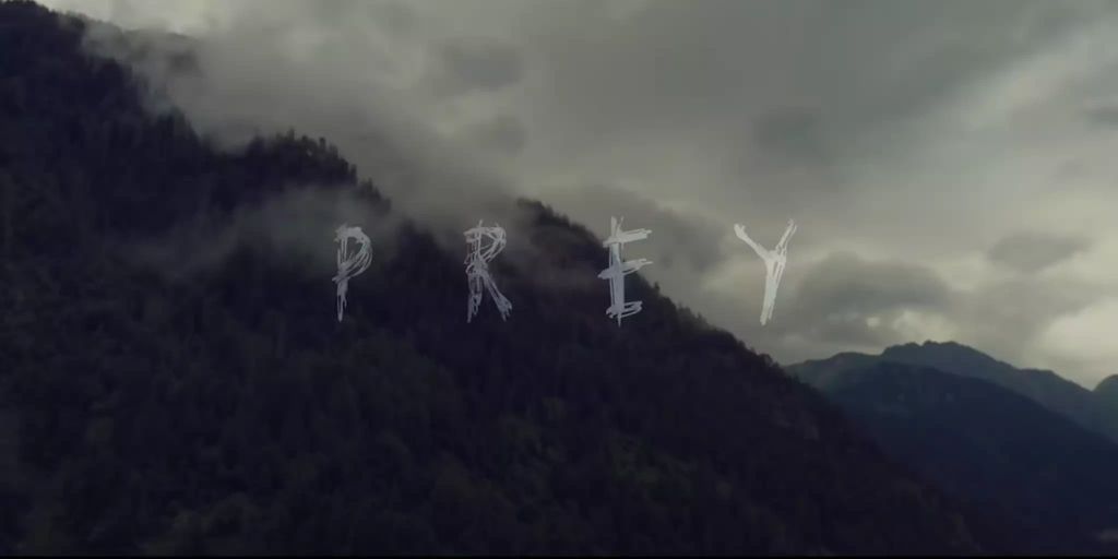 «Prey» auf Netflix: Eine Jagd quer durch den Wald