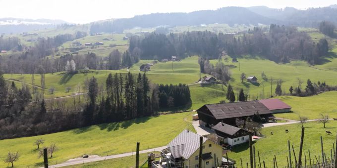 Behinderungen an der Tschuopisstrasse in Altendorf | Nau.ch