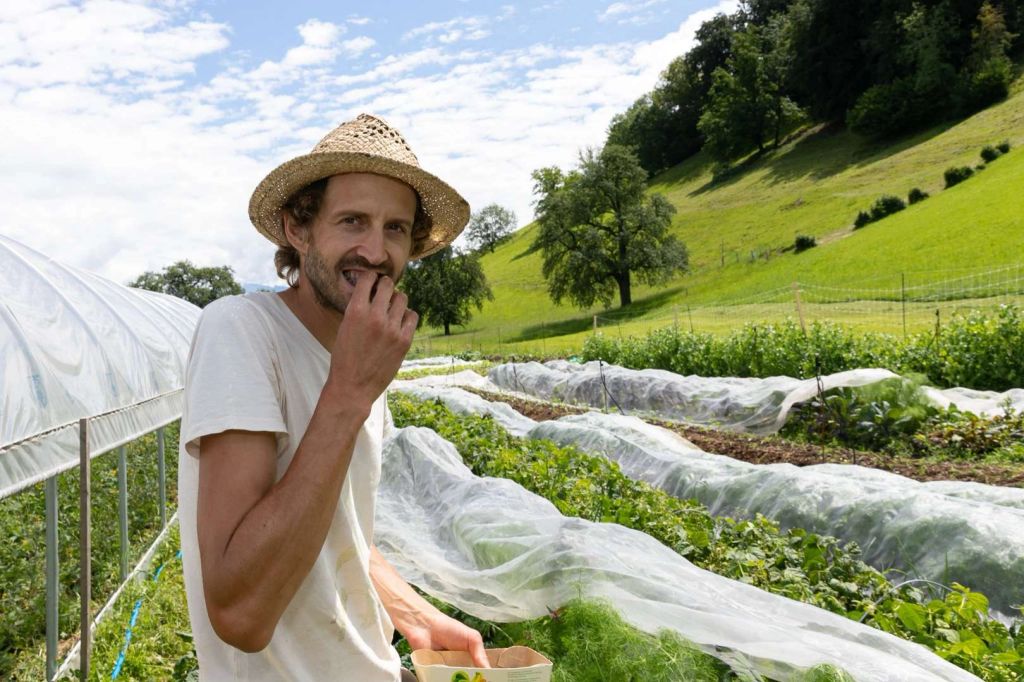 Mini-Farm: Solawi Halde