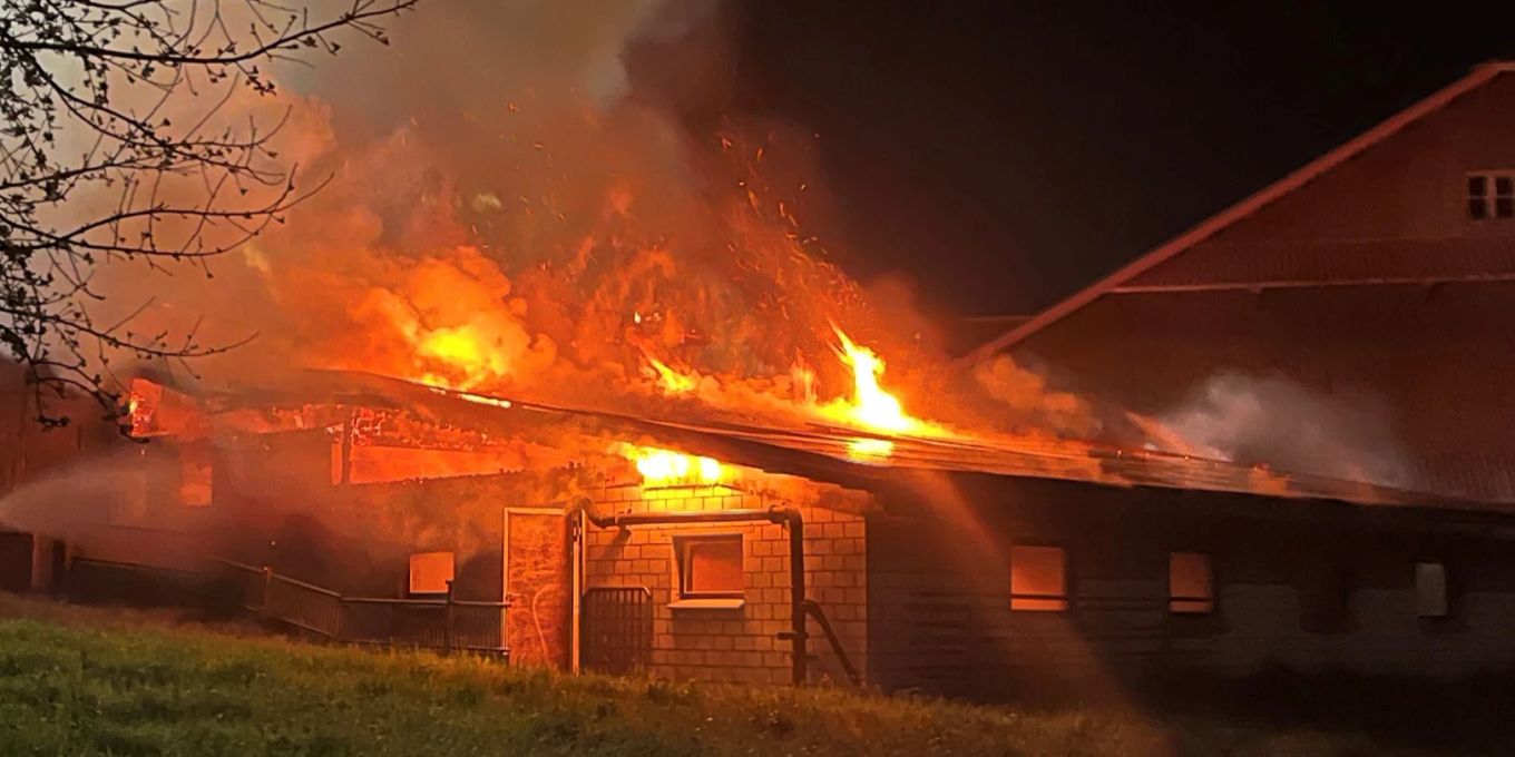 Grosswangen LU: Scheune in Vollbrand – dutzende Schweine tot | Nau.ch